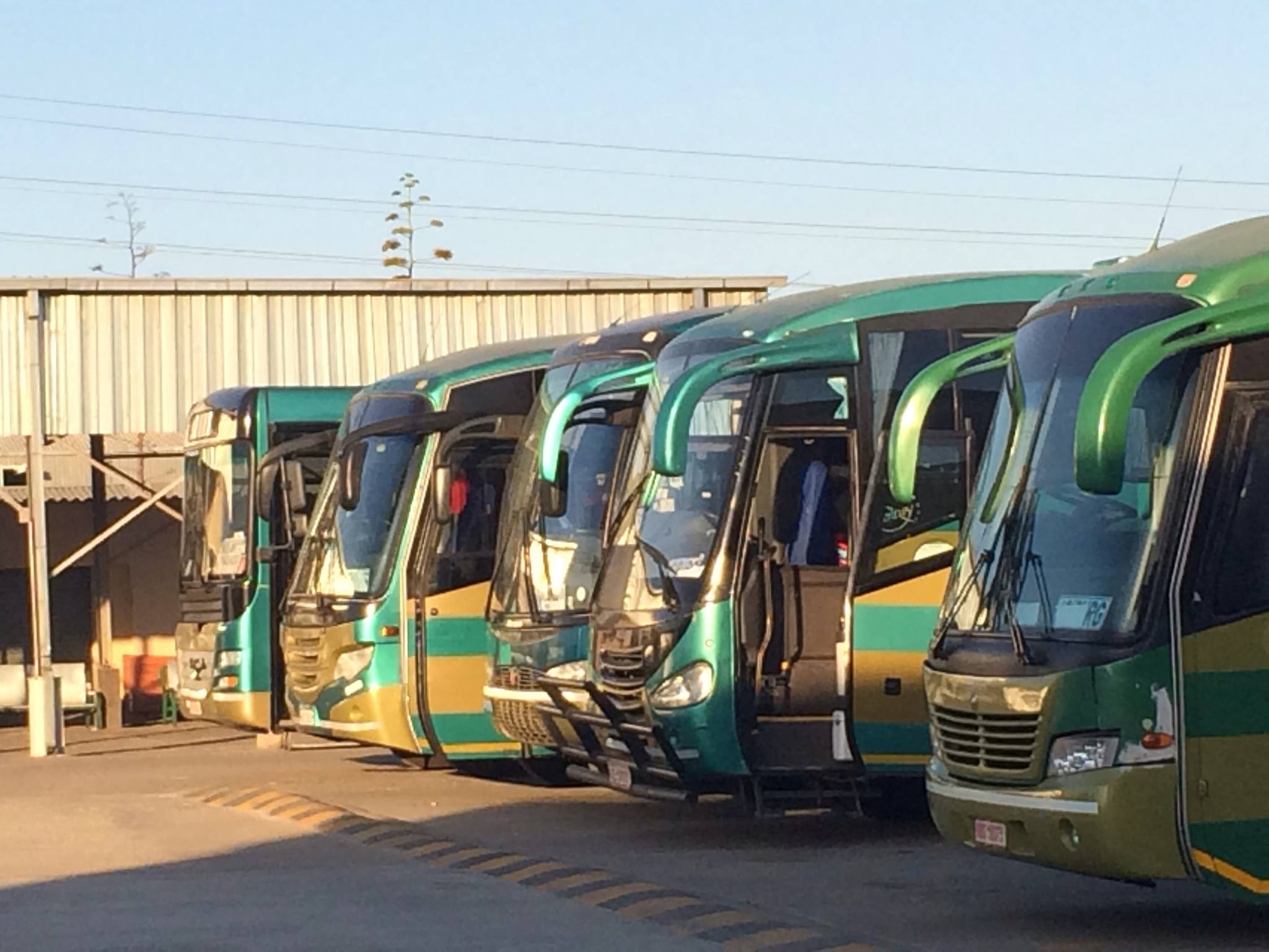 Revival Motorways – Travelling made easy